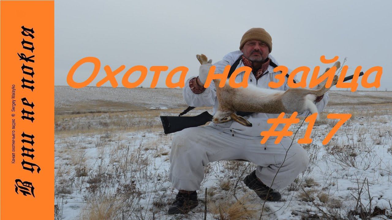 Охота на зайца. Выпуск № 17 18+