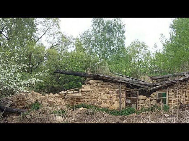 Майский коп в заброшенной деревне.( 7 Мая 2019г)