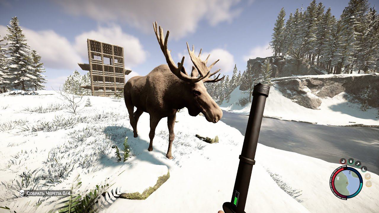 Sons of The Forest
