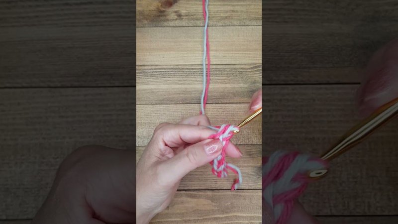#shorts Two Color Crochet Cord. Detailed Tutorial