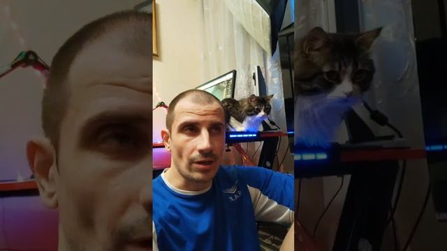 Прогульщик _ День 81✅