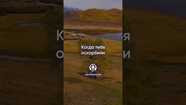 771 Когда тебя оскорбили — Иоанн Кронштадтский #Бог #душа #вера #молитва #сердце #любовь #жизнь