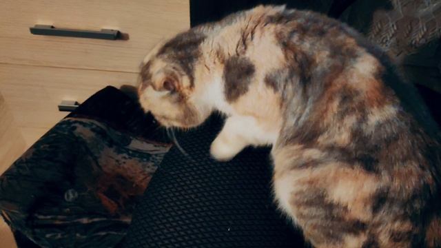 VID_20230201_210042