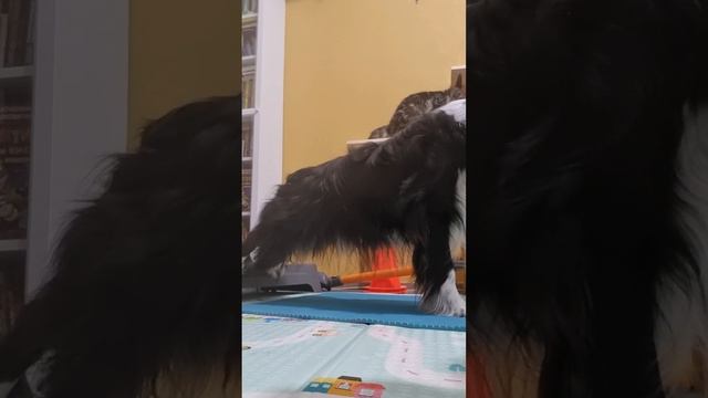 растяжка вид сбоку