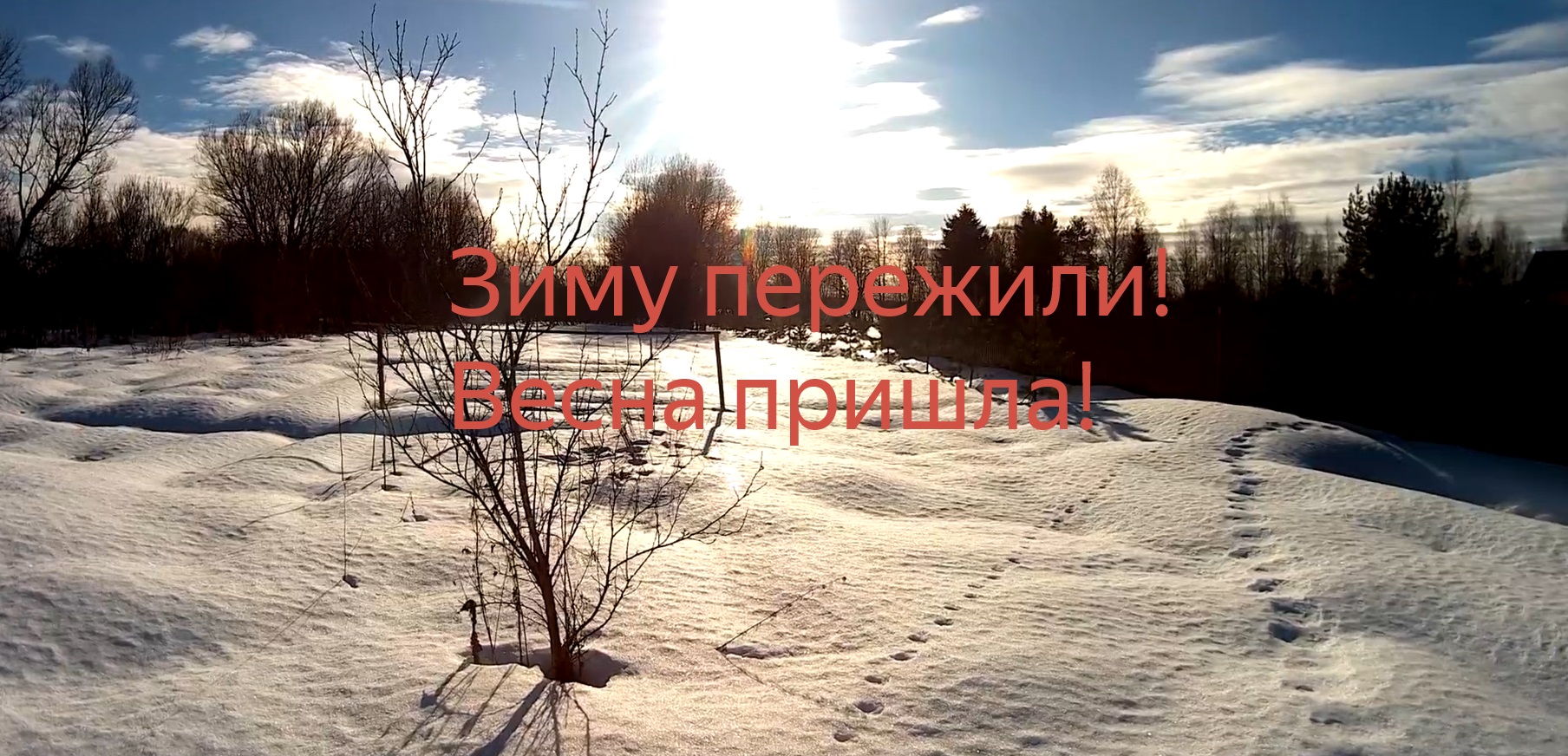 Зиму пережили. Весна пришла.
