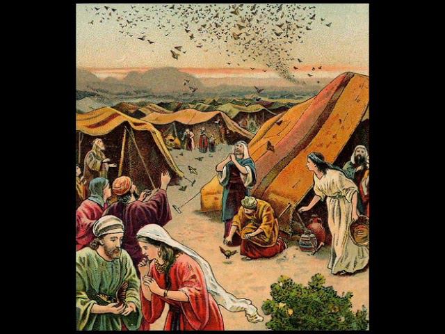 4.07 По страницам Библии - лекции доктора Мак Ги по книге Числа