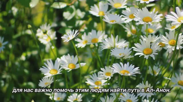 "Возможность помочь". 1 июня. День за днем в Ал-анон. Ежедневник для созависимых