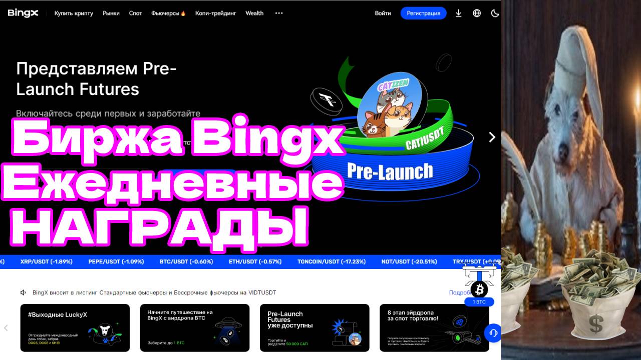 Биржа Bingx ежедневные награды