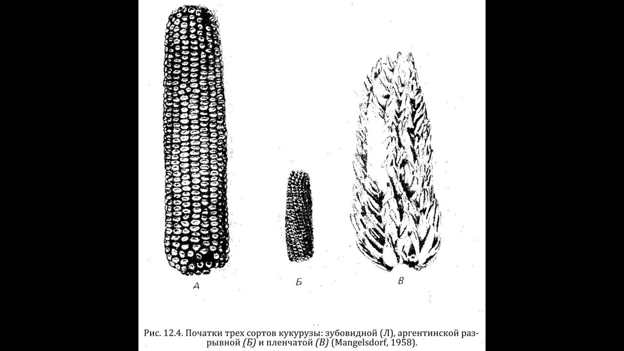 Глава 12. Примеры отбора