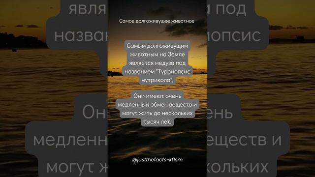Самое долгоживущее животное