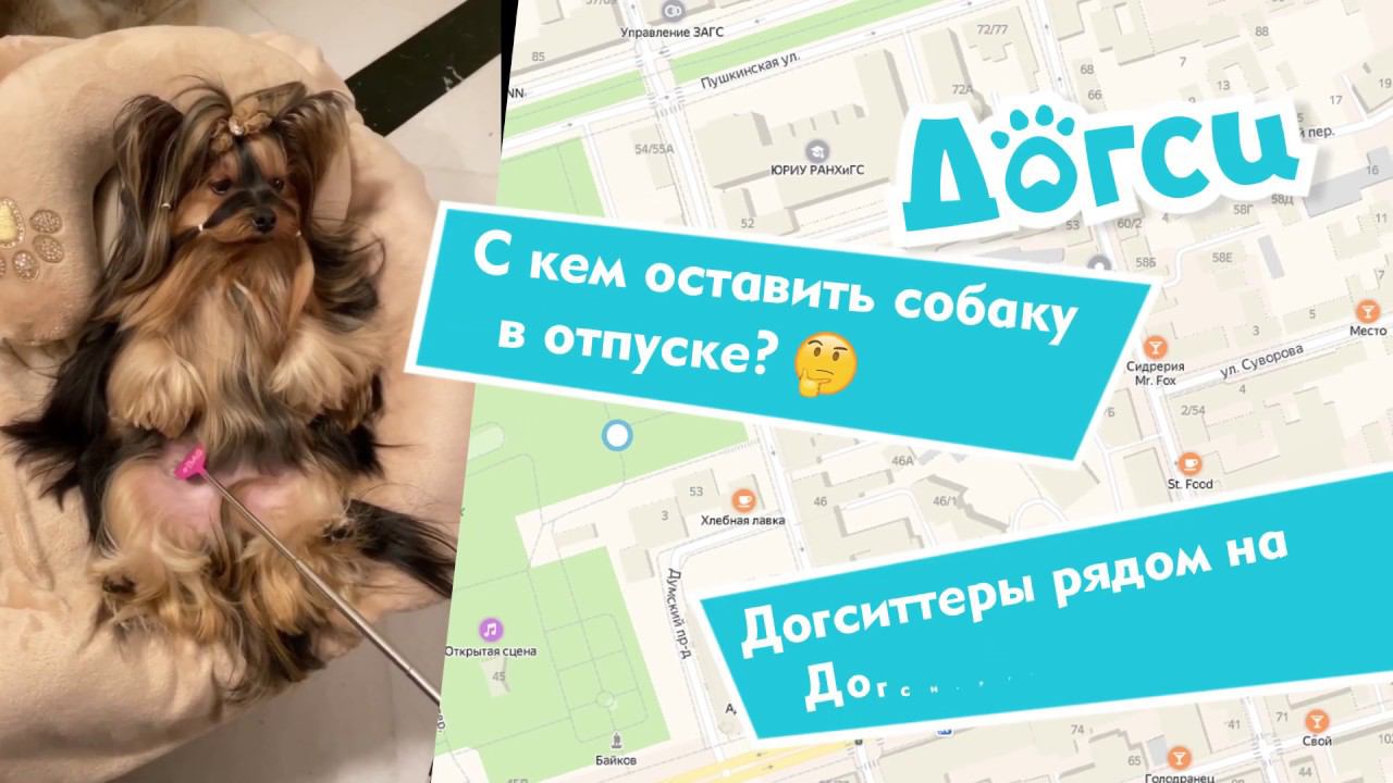 Догси – Сидим с собакой, пока вы в отъезде