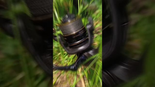 Это любовь.