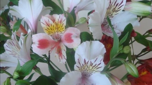 Что это было...  (на стихи Геннадия Амелина)