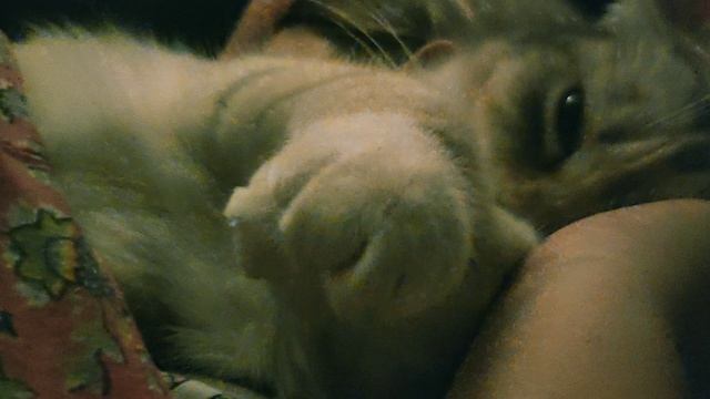 VID_20230204_014726