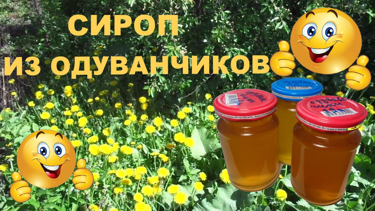 Сироп из одуванчиков. Одуванчиковый мёд.