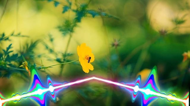 Радует глаз [Easy Se as - Chris Haugen - фонотека Ютуба]