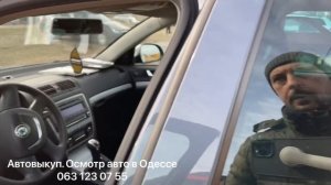 Большой обзор немцев и Skoda которые продавали в Одессе на авторынке «Куяльник»