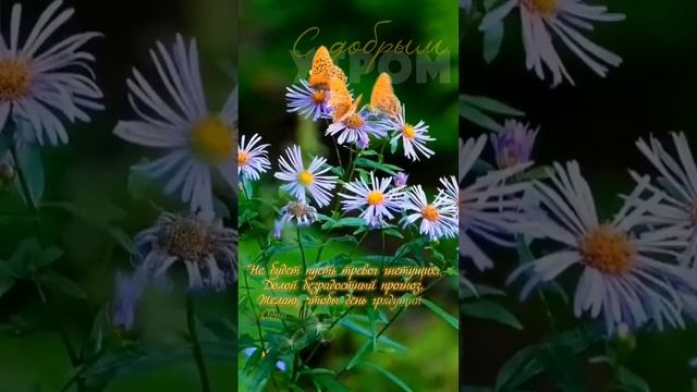 Не будет пусть тревог гнетущих