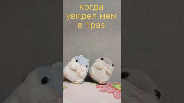 чипи чипи чапа чапа !!!