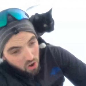 Покатушки с котиком