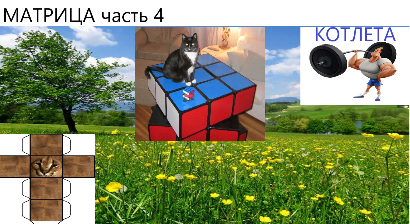 ЛИНГВОФРИКИ и КОТ