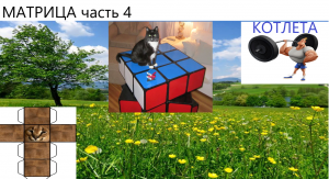 ЛИНГВОФРИКИ и КОТ