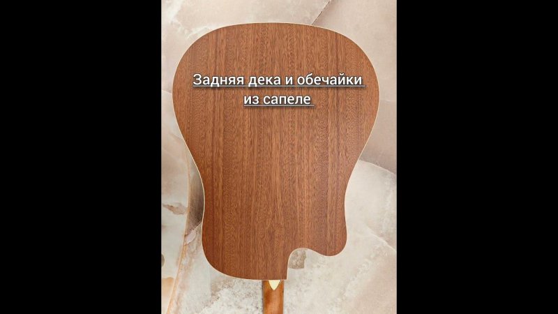 Aion X20M - акустика в корпусе дредноут с вырезом