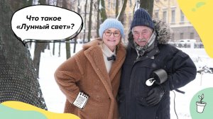 Ландшафтное освещение | Освещение в саду | Ландшафтный свет | "Лунный свет" на участке | Подсветка