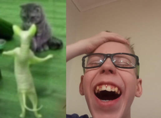 Это самое смешное видео на моём канале! (Реакция на И смешно и плакать хочется: 12 минут самых ржачн