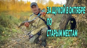 Снова за щукой по старым местам