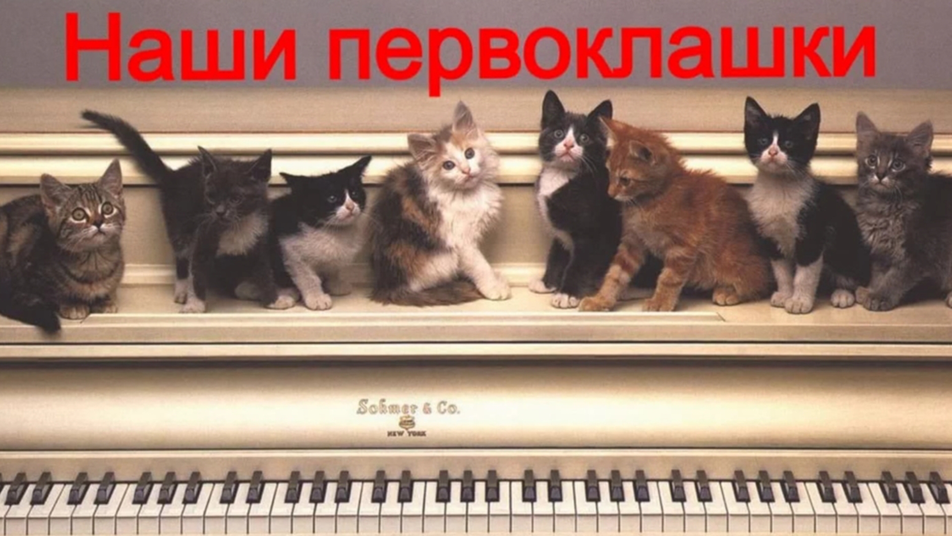 Наши первоклашки (2013 г.)
