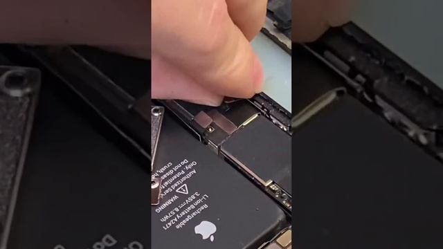 Charger 12 mini