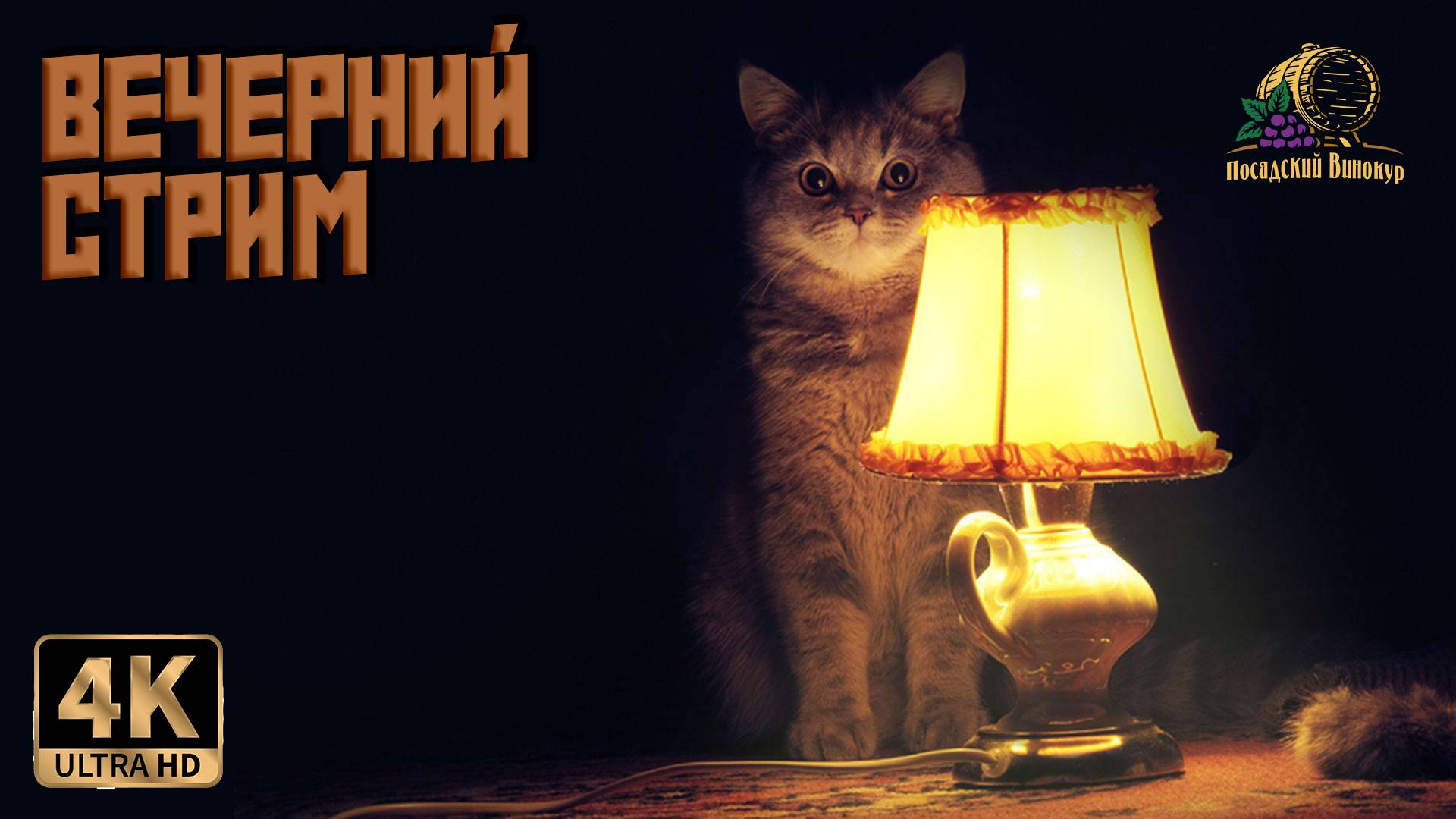 ВЕЧЕРНИЙ СТРИМ | ПРИВЕТ РУТУБ | ОБЩАЕМСЯ ТЕСТИРУЕМ НОВЫЙ ВИДЕОХОСТИНГ | 01.08.2024 20:00 МСК