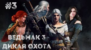 Прохождение Ведьмак 3 Дикая Охота The Witcher 3 Wild Hunt — Часть 3 Лихо в колодце.mp4