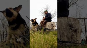 Вот он хвостатый пират! От этой собаки никуда не спрячешься! ☺️
