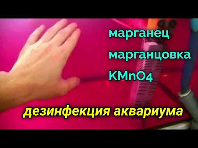 Применение марганцовки для дезинфекции аквариума