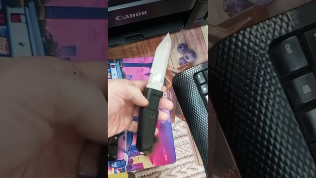 Обзор одного "ножа рембы"