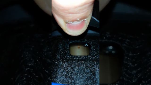 Lanzar MAX Pro Subwoofer Test