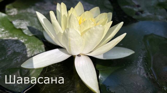 Шавасана ( 15 минут)
