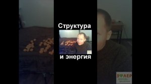 СТРУКТУРА и ЭНЕРГИЯ от пищи Фруктовые углеводы Собственный синтез структуры в организме Белки и жиры