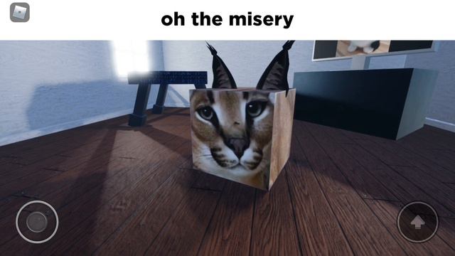 Floppa cube All backrooms levels (Roblox) - смотреть видео онлайн от «Веселье домашней жизни» в ...