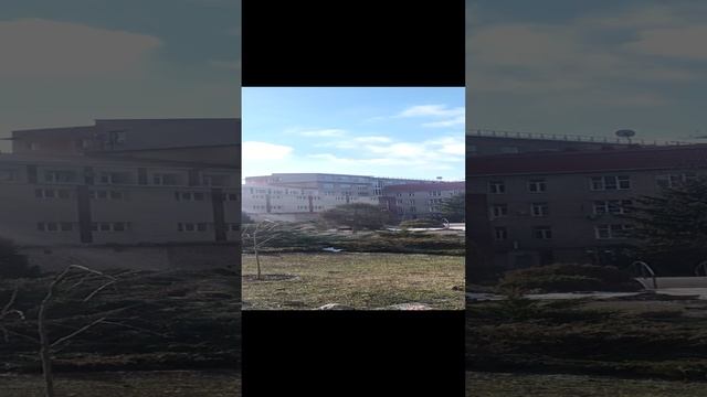 Живая Елка на территории ЛГПУ.  Луганск. Зима 2022.