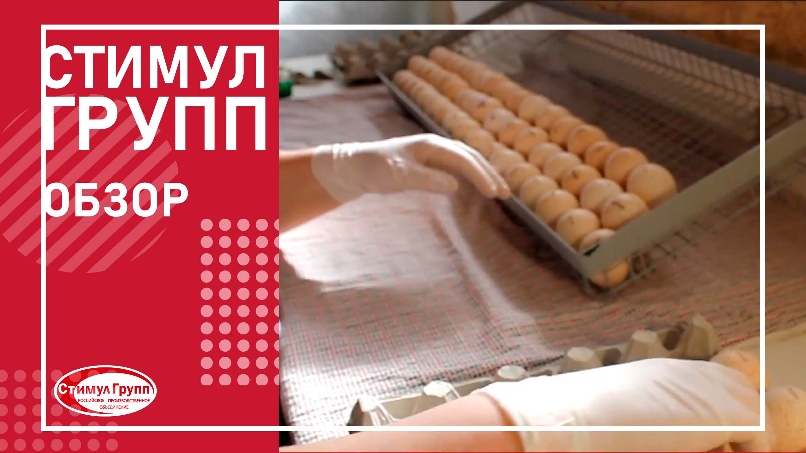 Совмещенный инкубатор Стимул-1000