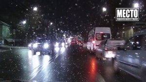 Медвежья услуга чуть не привела к ДТП