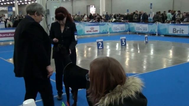 Евразия 2019 2-й день 24 февраля-4