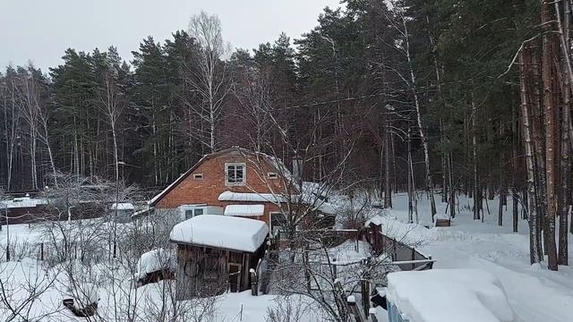 ТОШКА . ИНГА ХОСРОЕВА . ВЕДЬМИНА ИЗБА ?