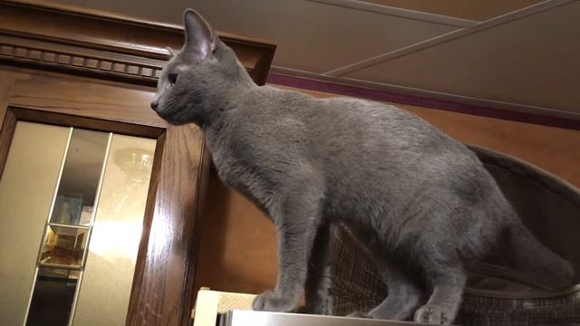 Соня ищет друзей.