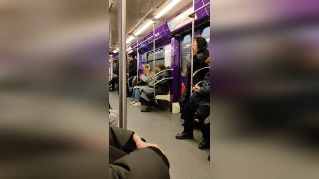 новогодний поезд на серой ветке московского метро, 26 декабря 2023
