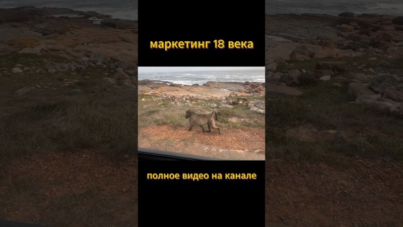 ️ Маркетинг 18 века. #африка #challenge #мысдобройнадежды #capeofgoodhope #путешествие