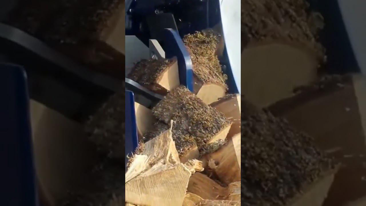 дровокол тайфун